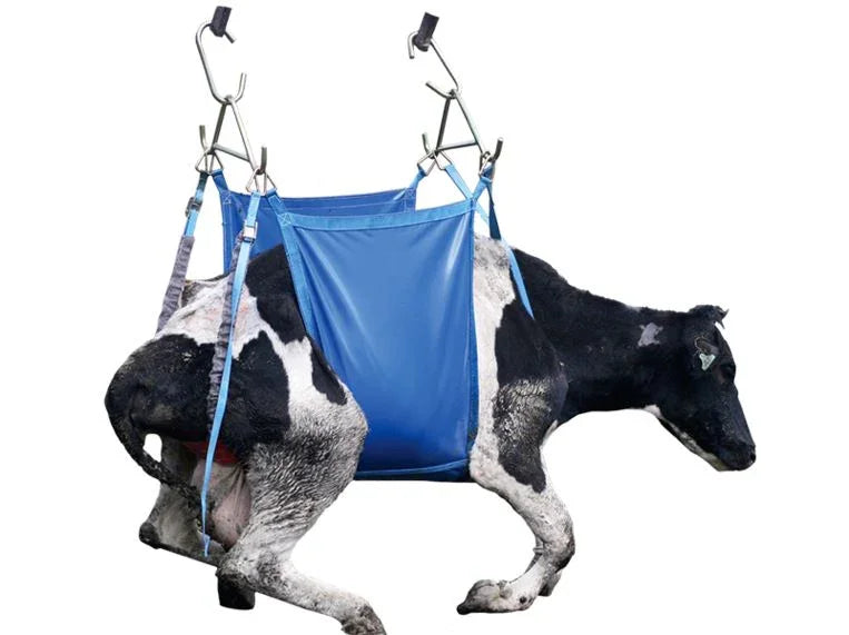 Cow Daisy-Lifter | OzFarmer