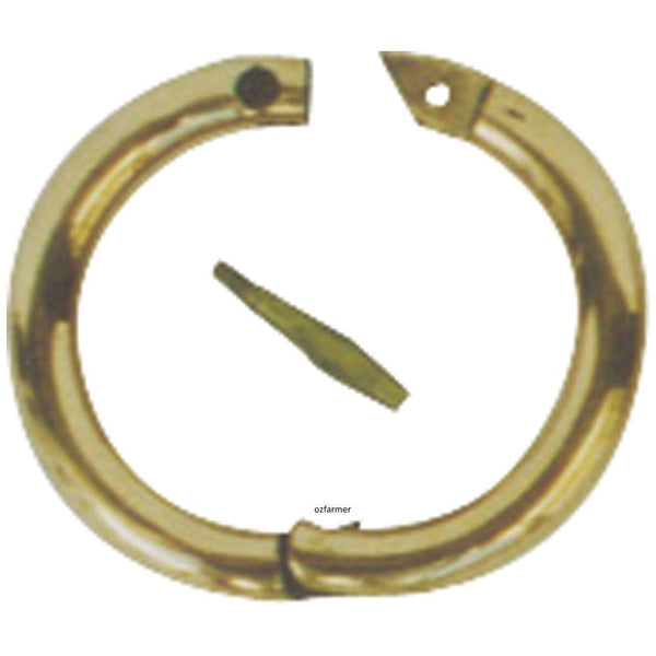 Copper Hayes Bull Nosering